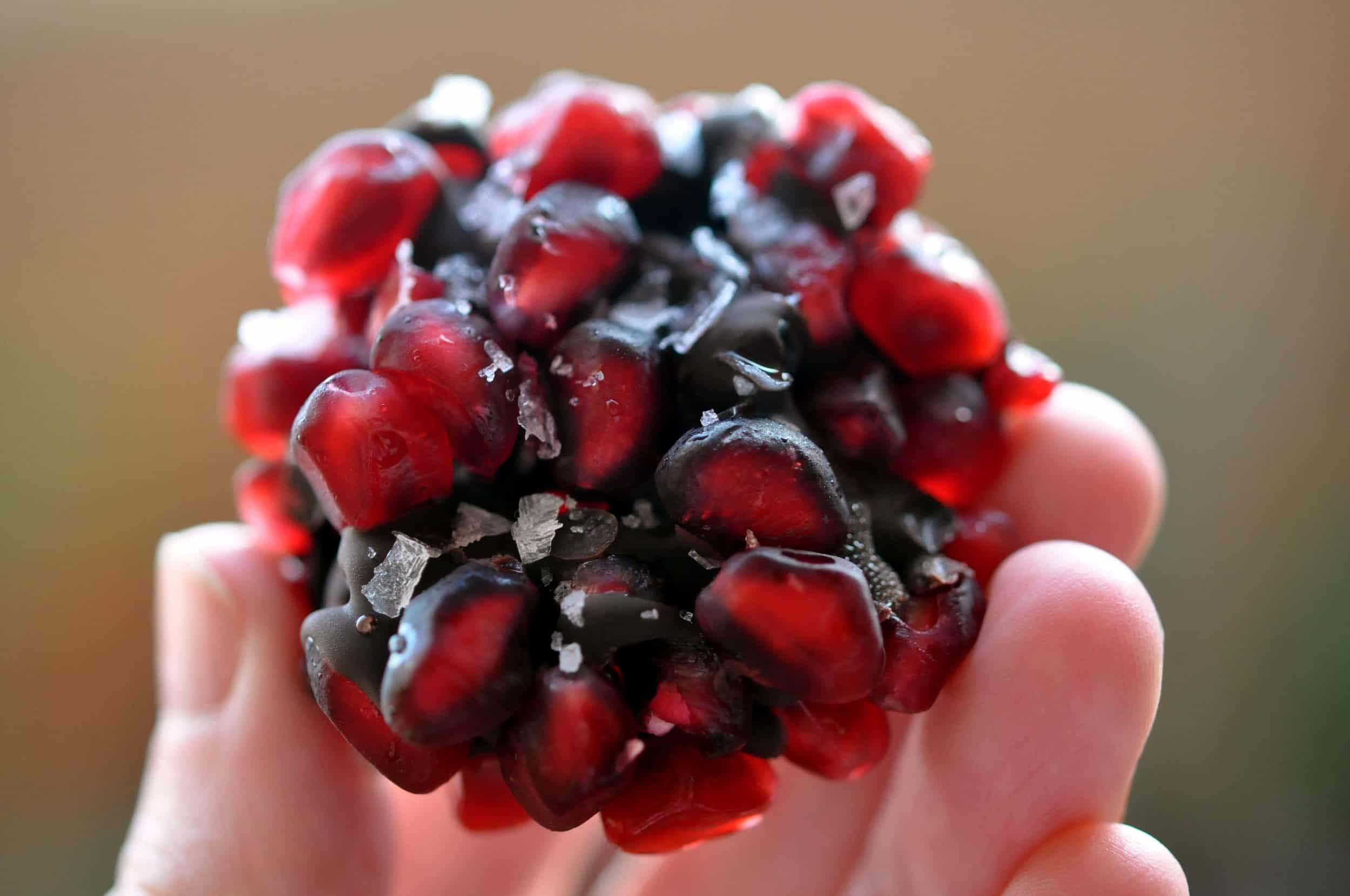 Pomegranate Dark Chocolate Bites - This Healthy Table