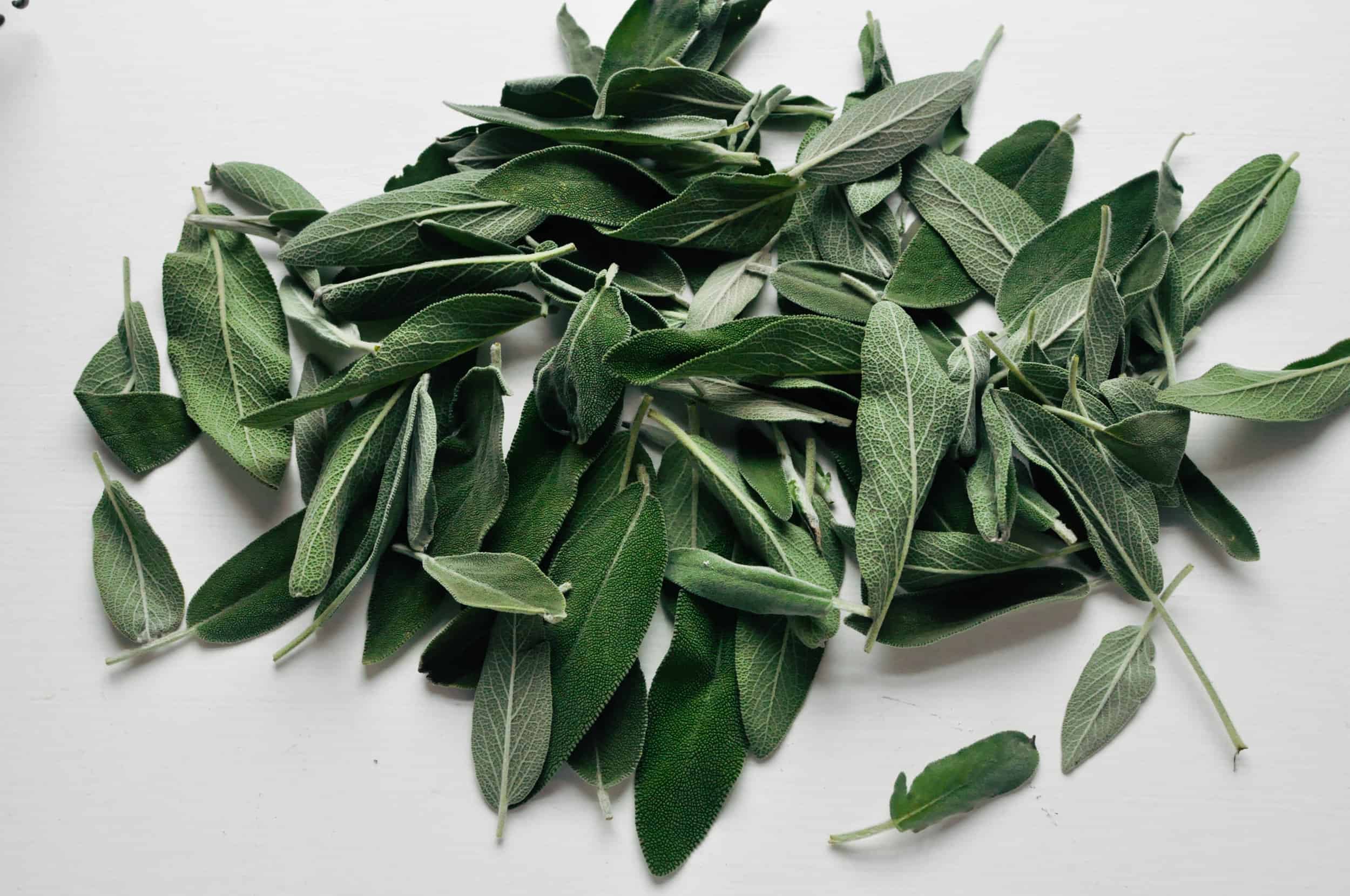 DIY Sage Wreath - This Healthy Table