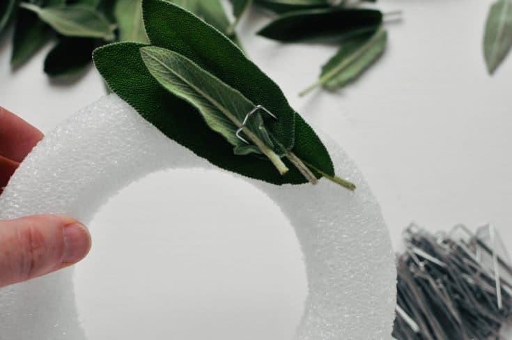 DIY Sage Wreath - This Healthy Table