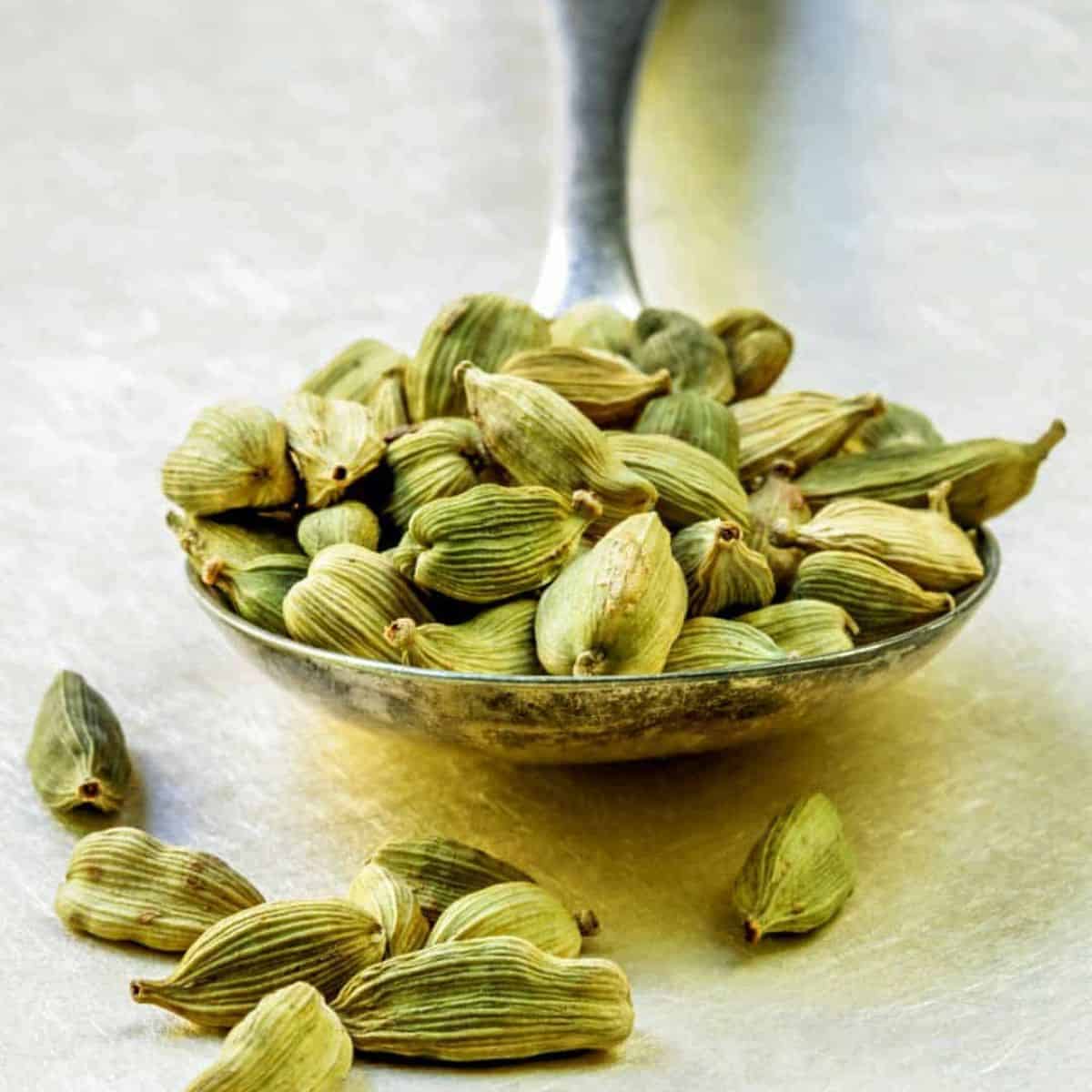 Cardamom Spice - This Healthy Table