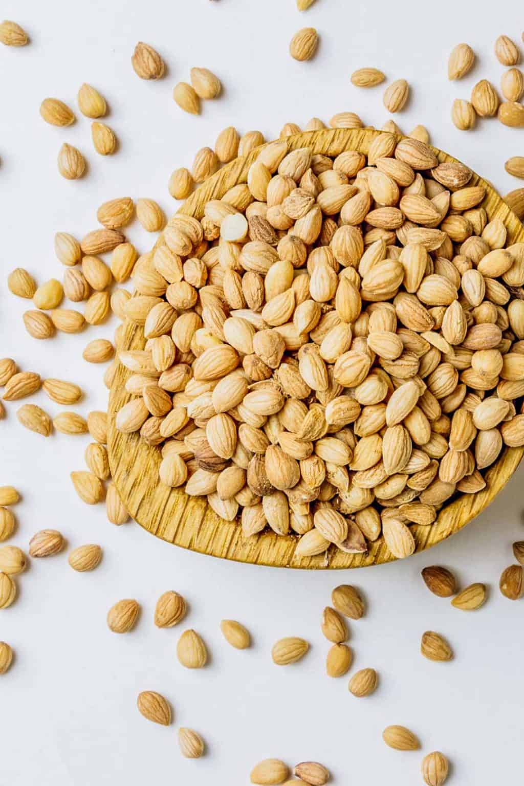 Mahlab Spice - This Healthy Table