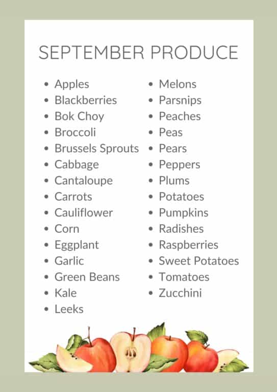 What's in Season in September? - This Healthy Table