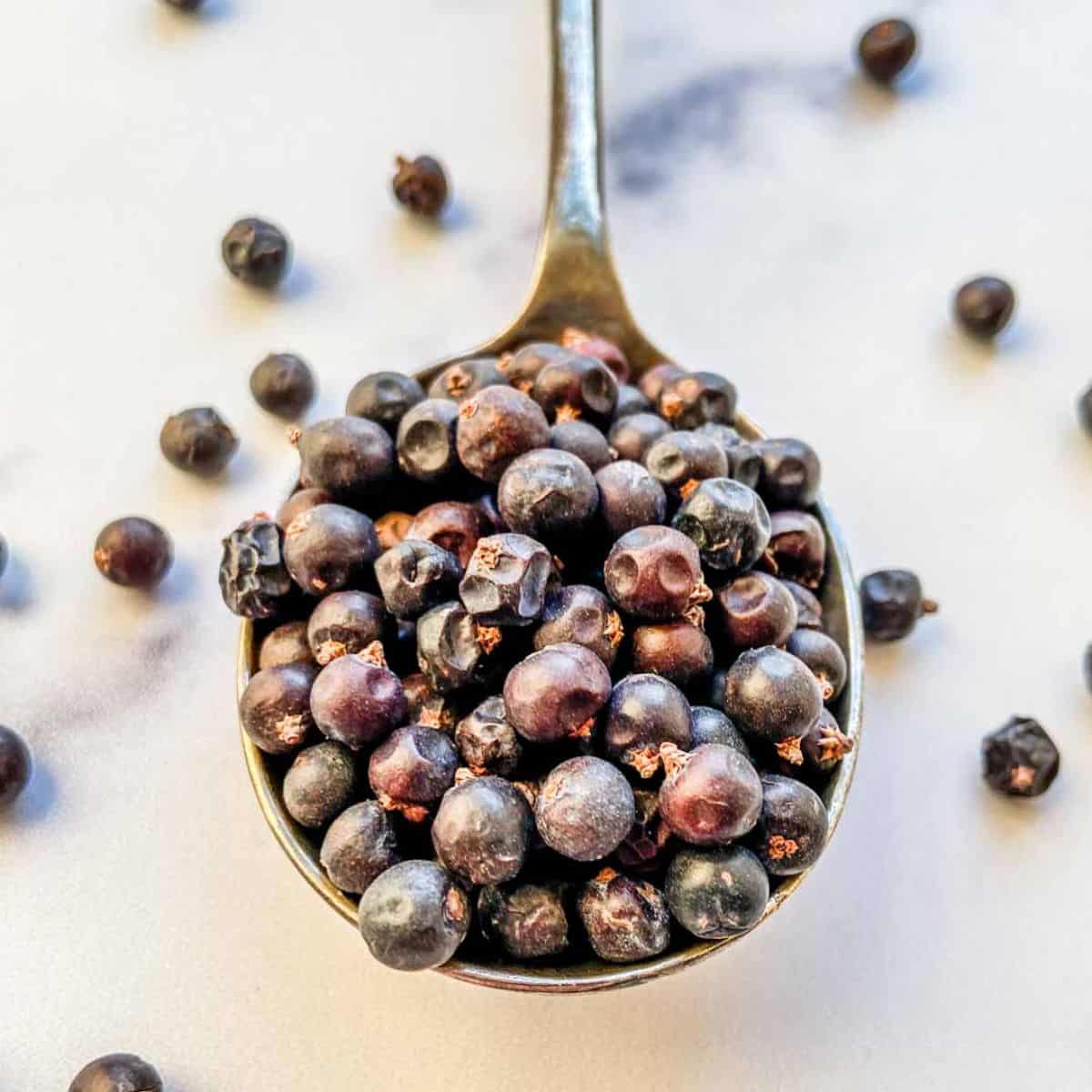 How to Use Juniper Berries - This Healthy Table