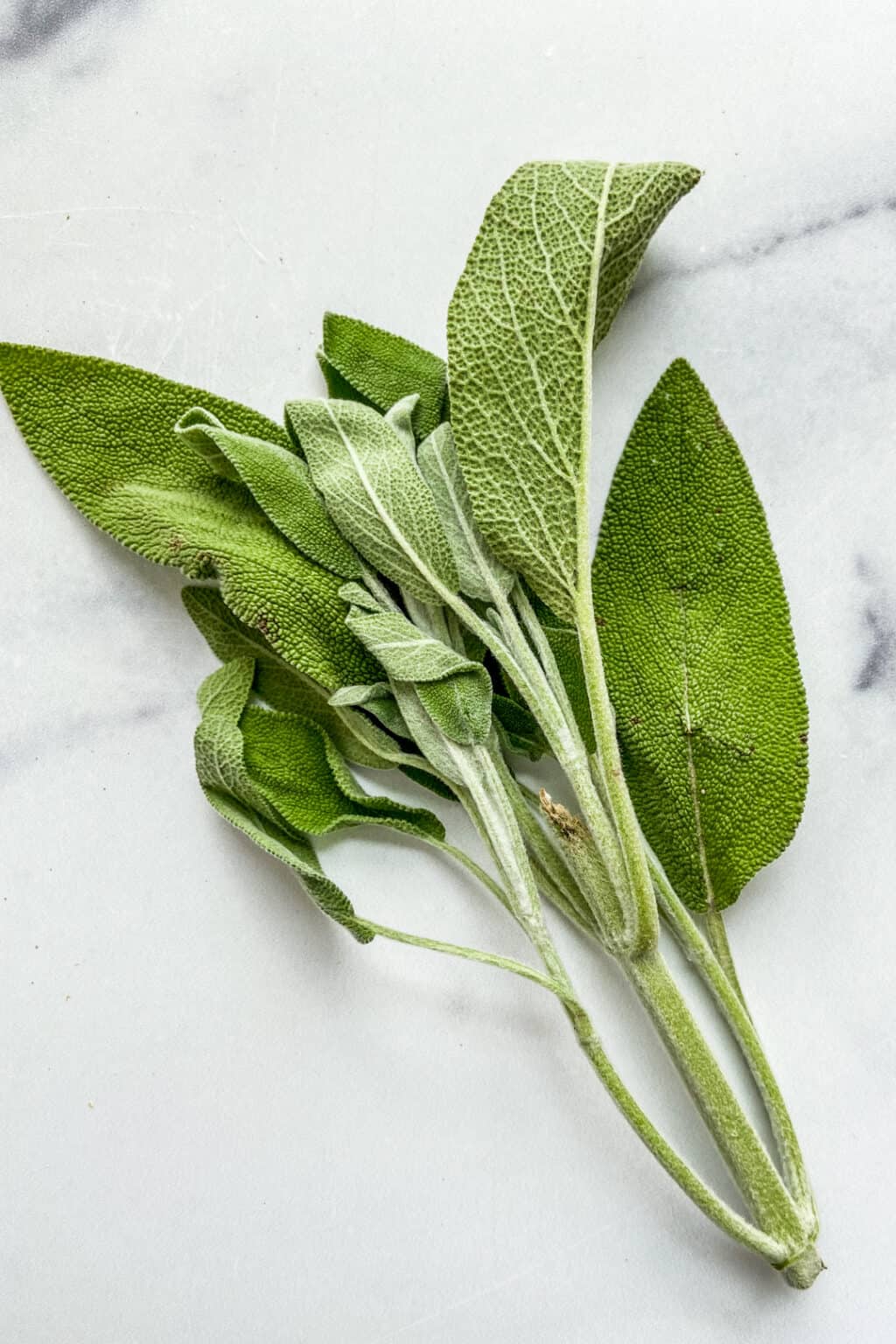 Crispy Sage Leaves Recipe - This Healthy Table