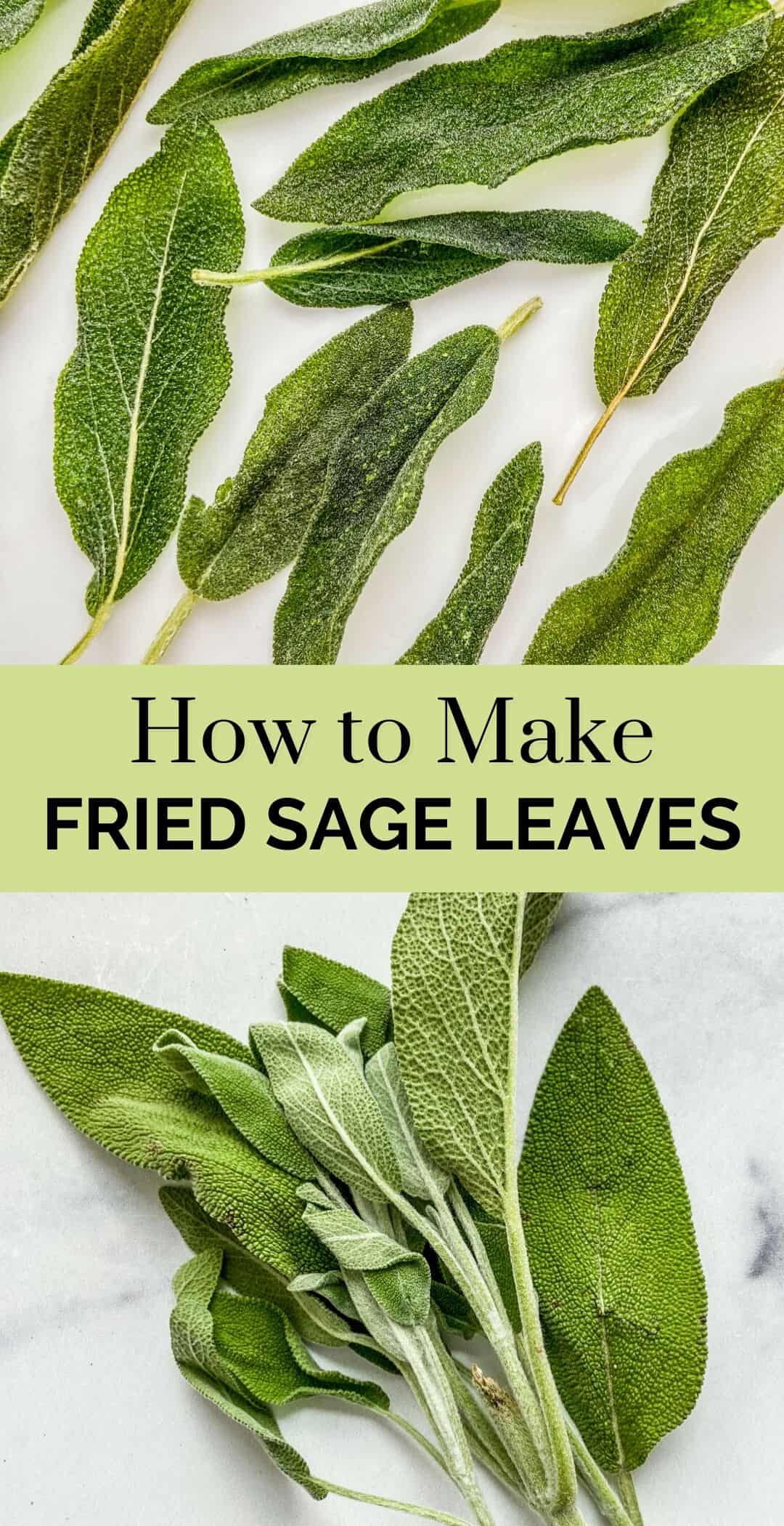 Crispy Sage Leaves Recipe - This Healthy Table