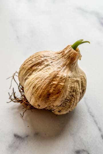 How to Tell if Garlic Has Gone Bad (with photos!) - This Healthy Table