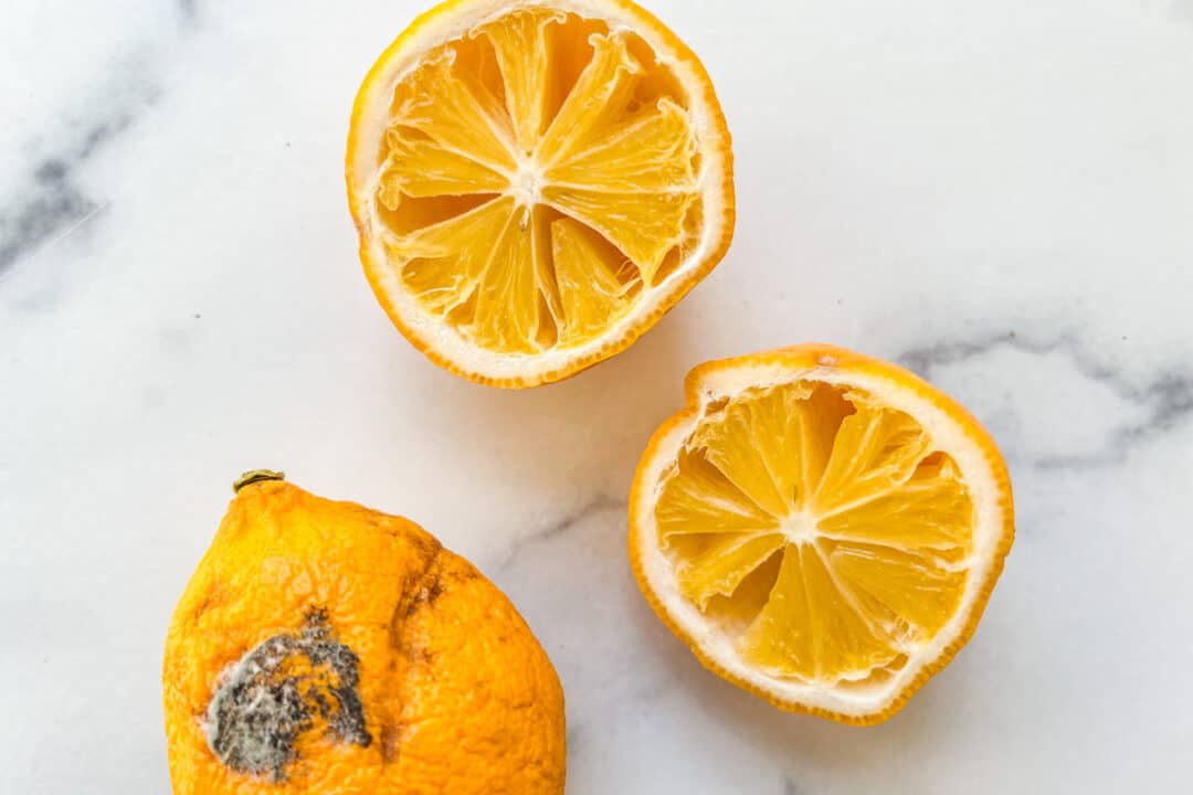How to Tell if Lemon Has Gone Bad (with photos!) - This Healthy Table