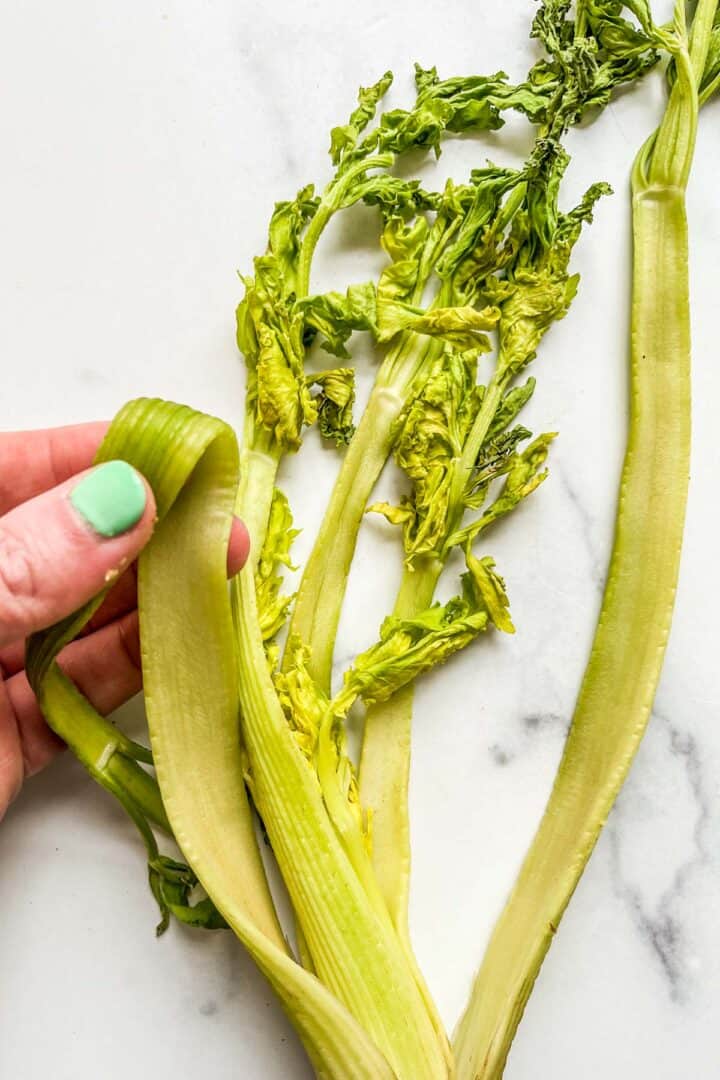 How to Tell if Celery Has Gone Bad (with photos!) - This Healthy Table