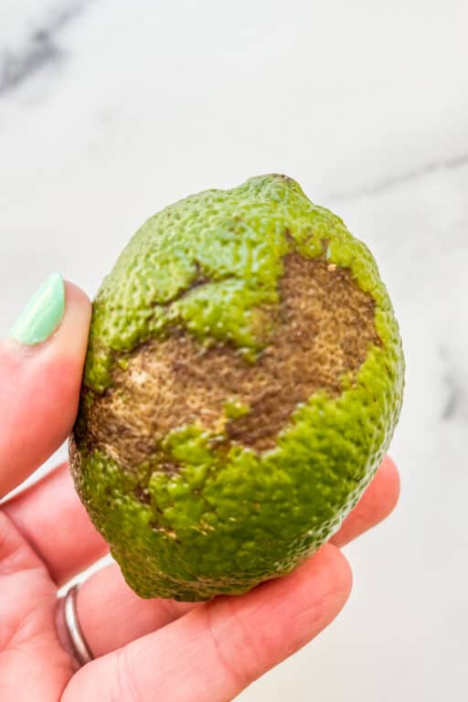 How to Tell if a Lime Has Gone Bad (with photos!) - This Healthy Table