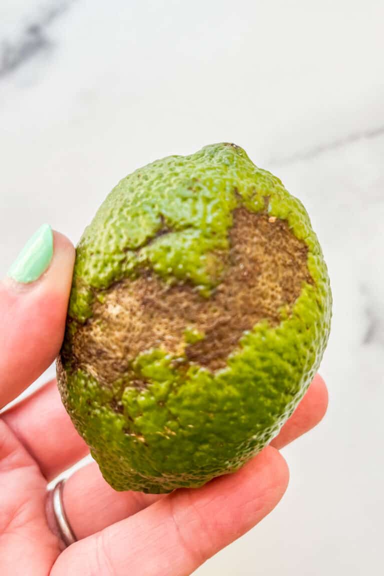How to Tell if a Lime Has Gone Bad (with photos!) - This Healthy Table