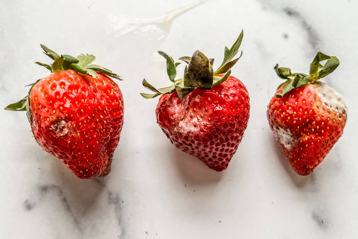 Rotten Strawberries