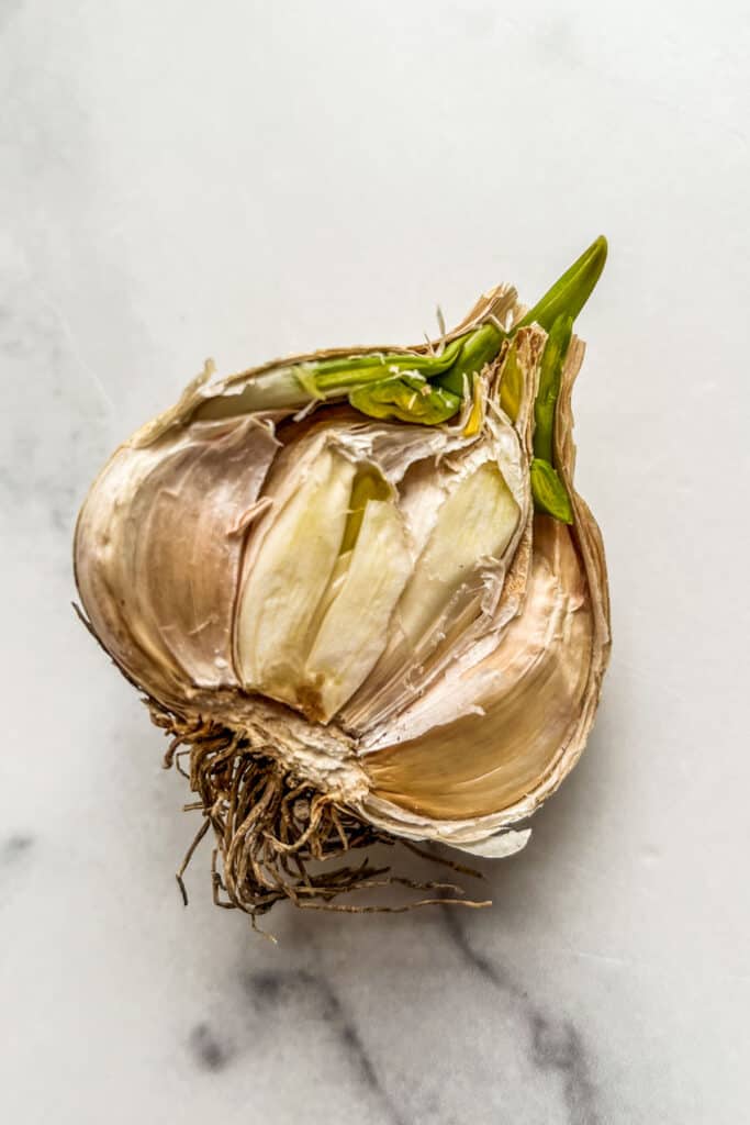 How to Tell if Garlic Has Gone Bad (with photos!) - This Healthy Table