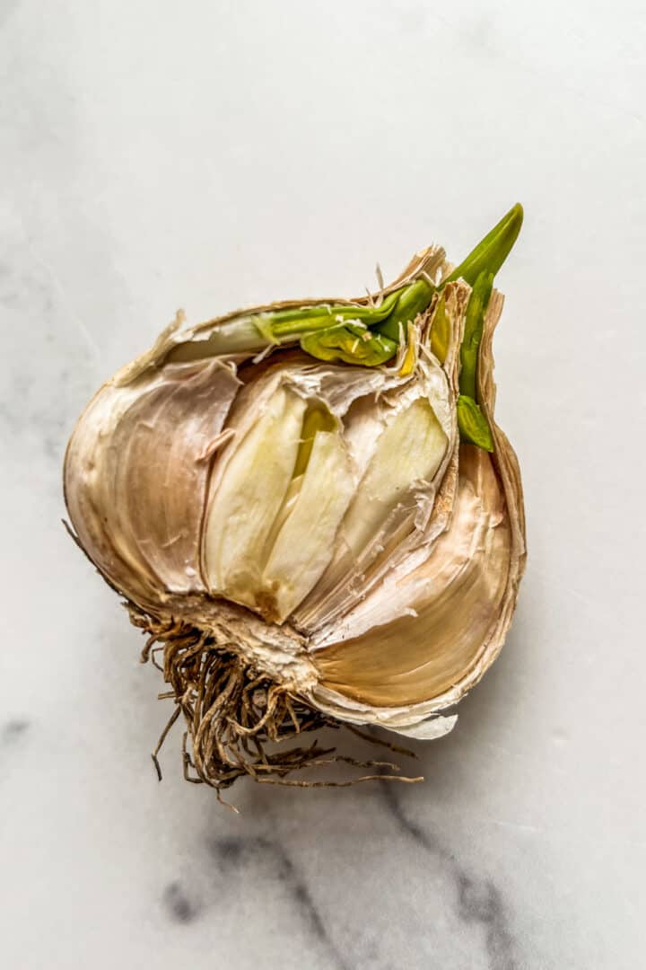 How to Tell if Garlic Has Gone Bad (with photos!) - This Healthy Table