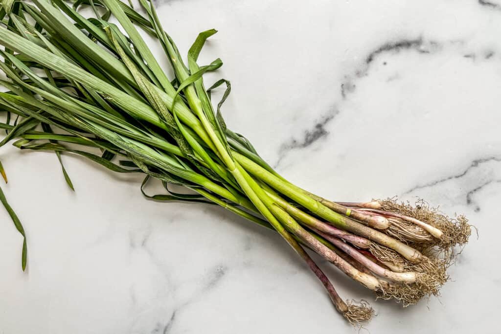 The Best Substitutes for Chives - This Healthy Table