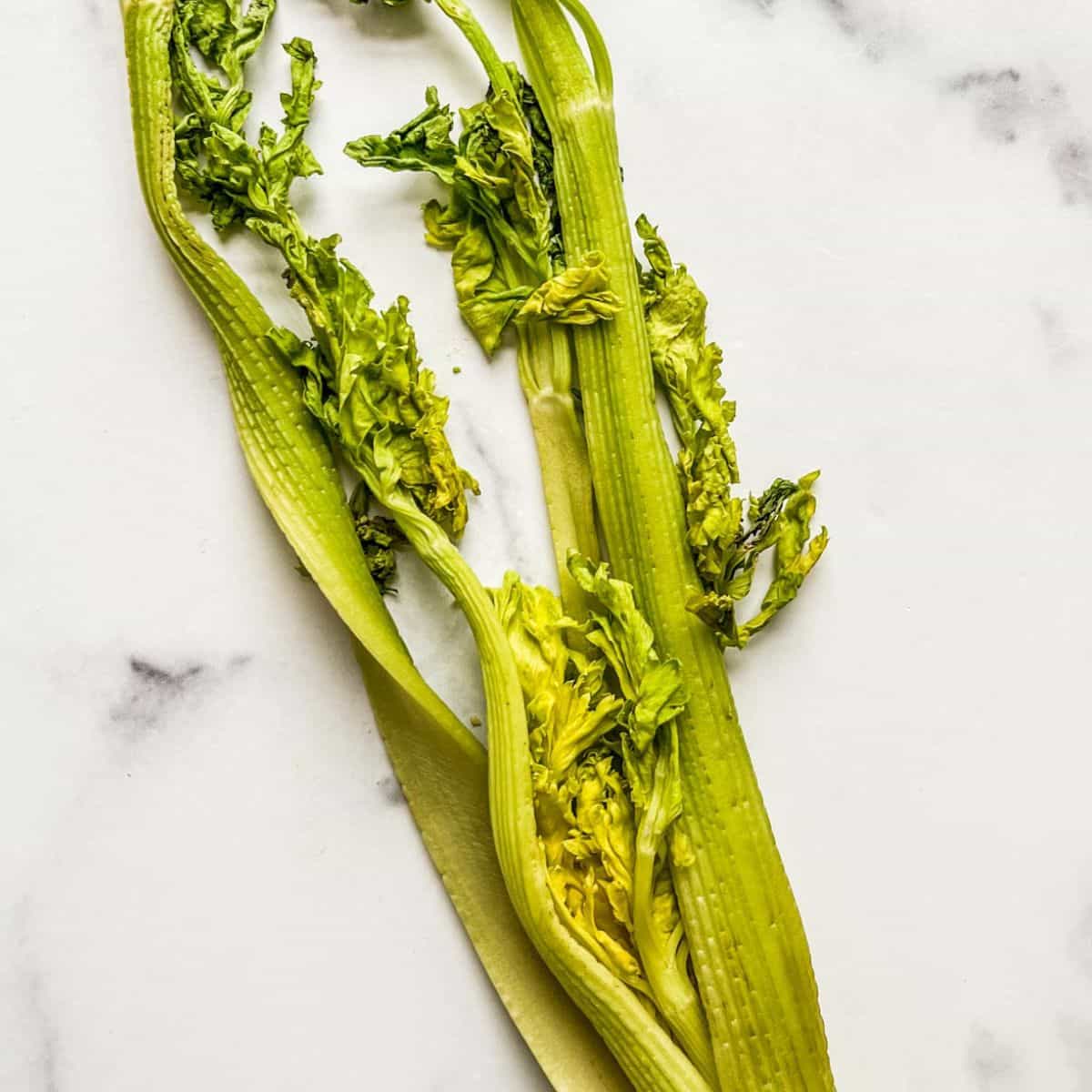 How to Tell if Celery Has Gone Bad (with photos!) - This Healthy Table