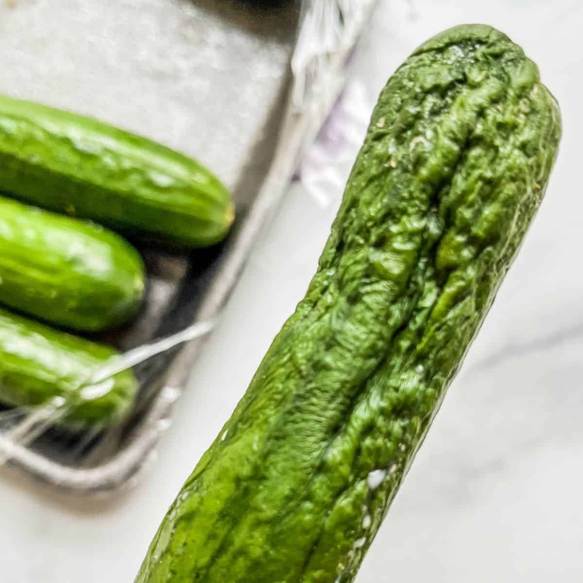 How to Tell if Cucumbers Have Gone Bad (with photos!) - This Healthy Table