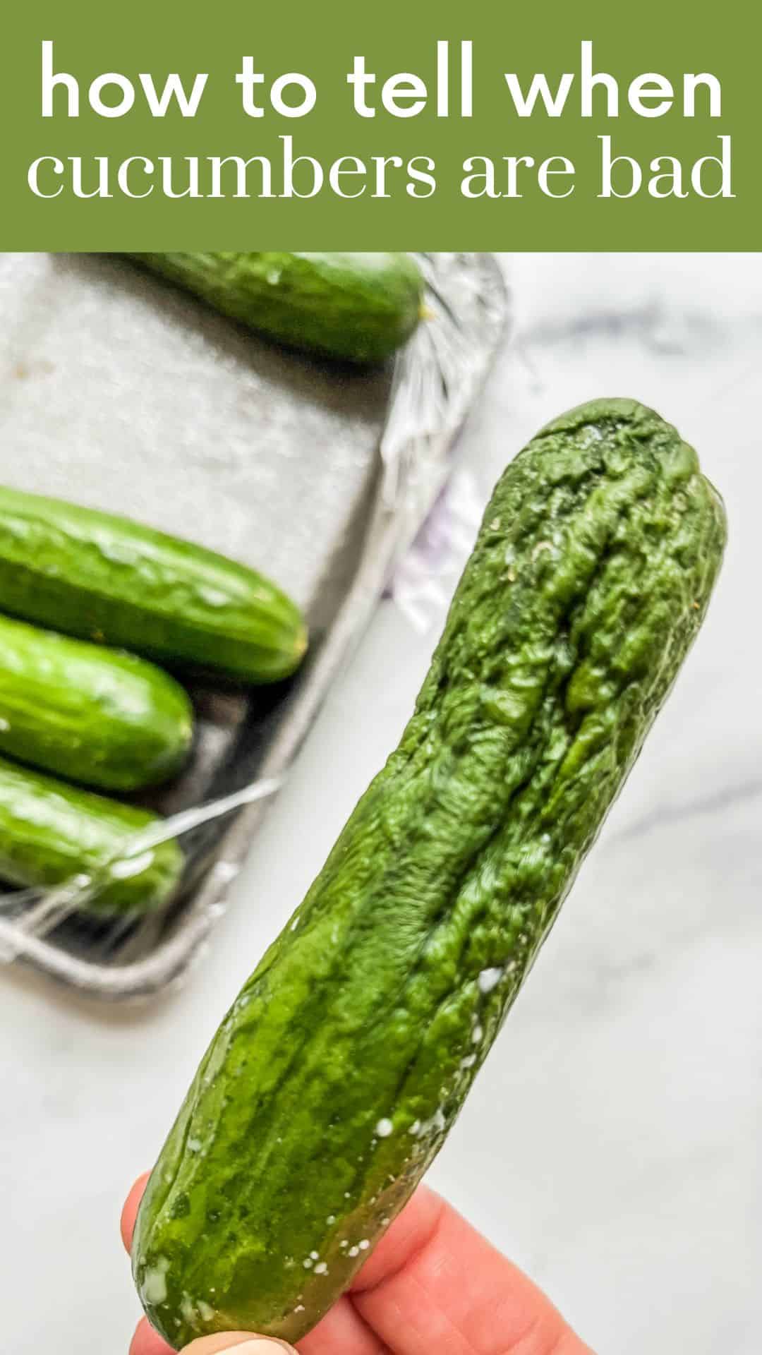 How to Tell if Cucumbers Have Gone Bad (with photos!) - This Healthy Table