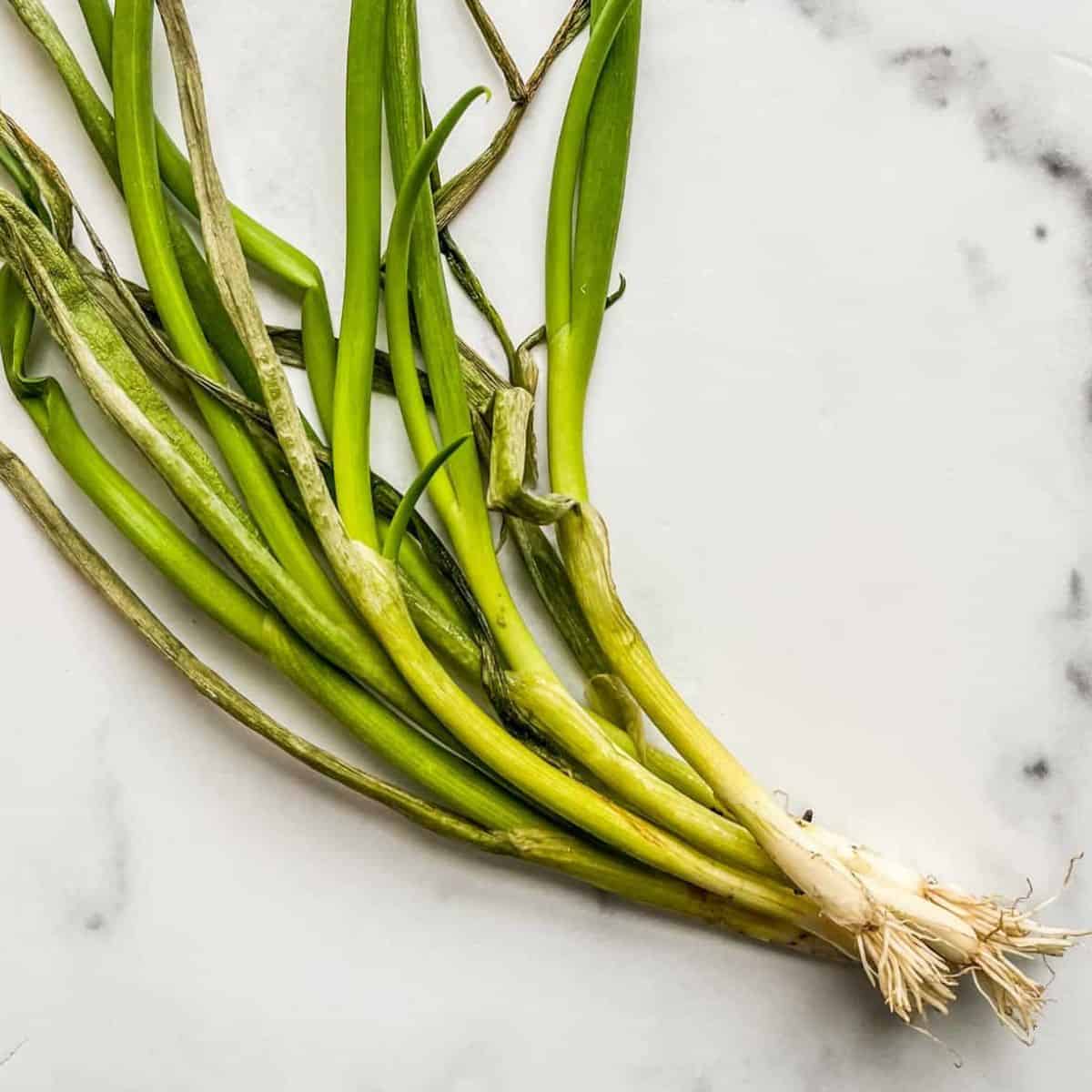 How to Tell if Green Onions Have Gone Bad (with photos!) - This Healthy ...
