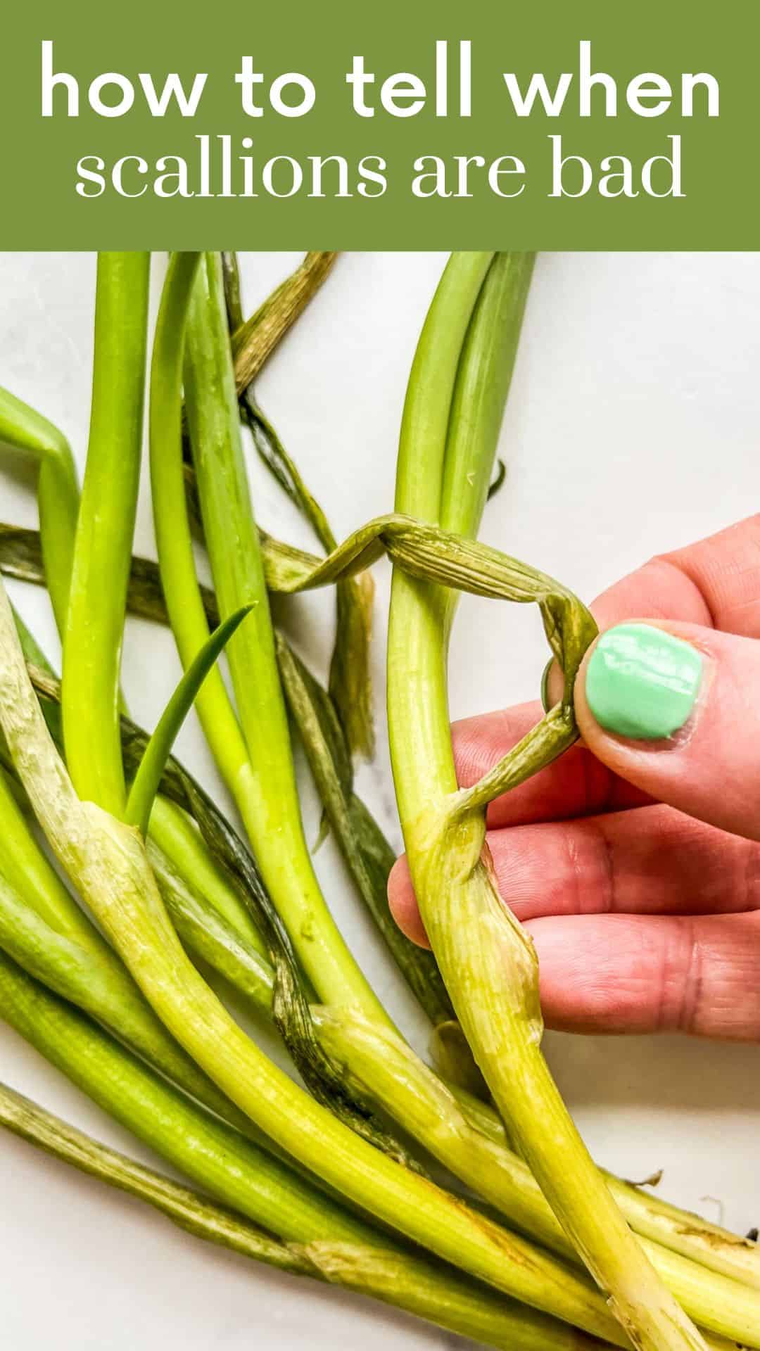 How to Tell if Green Onions Have Gone Bad (with photos!) - This Healthy ...