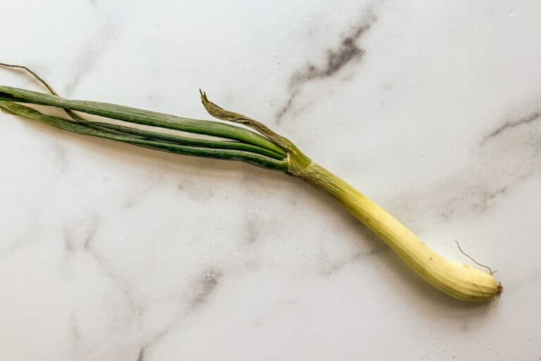 The 11 Best Substitutes for Leeks - This Healthy Table