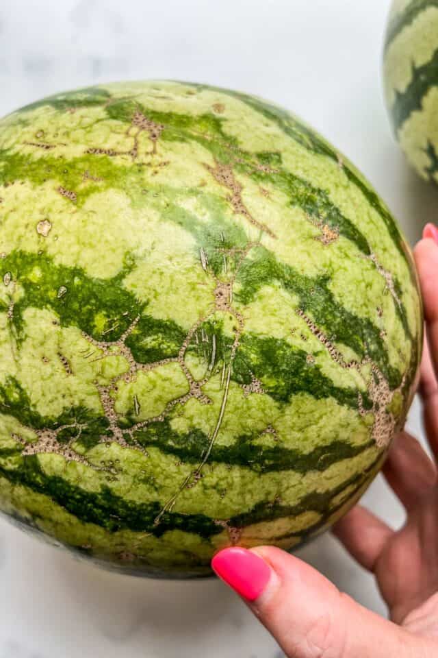 How to Pick a Mini Watermelon - This Healthy Table