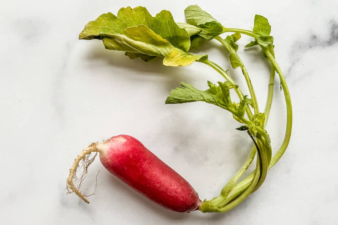 Types of Radishes + How to Use Them - This Healthy Table